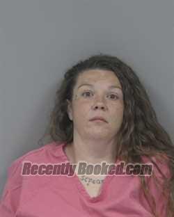 Recent Booking / Mugshot for MEGAN ELIZABETH ROBERSON in Johnston ...