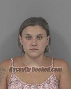 Recent Booking / Mugshot for MEGAN ELIZABETH SOLER in Johnston County ...