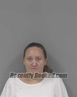 Recent Booking / Mugshot for APRIL MARIE TOLER in Johnston County, North Carolina