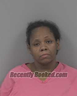 Recent Booking / Mugshot for CRYSTAL MARIE TANNER in Johnston County ...