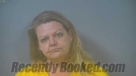 Recent Booking / Mugshot for AMY MICHELLE SPRINKLE in Sullivan County ...