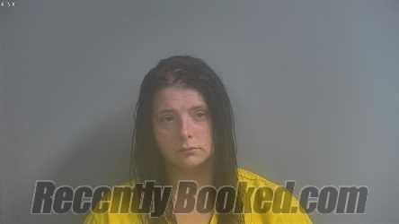 Recent Booking / Mugshot for DANIELLE DENEE HAMILTON in Sullivan County ...