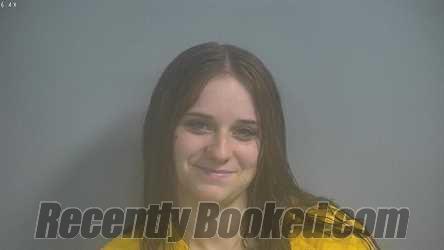 Recent Booking / Mugshot for HAILEY LYNNETTE REEL in Sullivan County ...