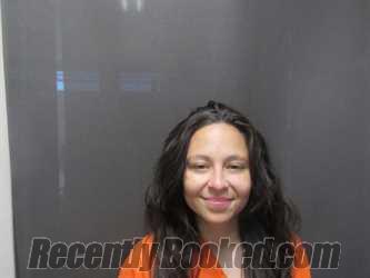 Recent Booking / Mugshot for KRISTIN DIANE ARNETT in Sullivan County ...