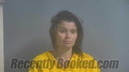 Recent Booking / Mugshot for LYNDSEY NICOLE MOORE in Sullivan County ...