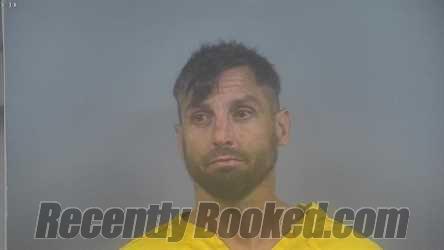 Recent Booking / Mugshot for NATHAN RYAN CHAMBERS in Sullivan County ...