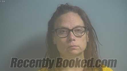 Recent Booking / Mugshot for SHANNON RENEE CHI in Sullivan County, Indiana