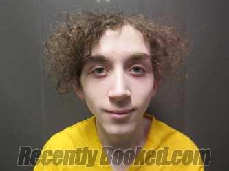 Recent Booking / Mugshot for TRISTAN MATHIN-LEE REYNOLDS in Sullivan ...