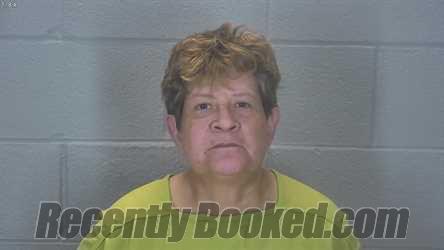 Recent Booking / Mugshot for America Mariah Salinas in Tippecanoe ...