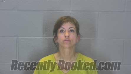 Recent Booking / Mugshot for Erin Elizabeth Gardner in Tippecanoe ...