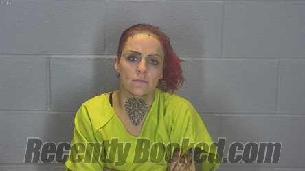Recent Booking / Mugshot for Holly Darlene Webb in Tippecanoe County ...
