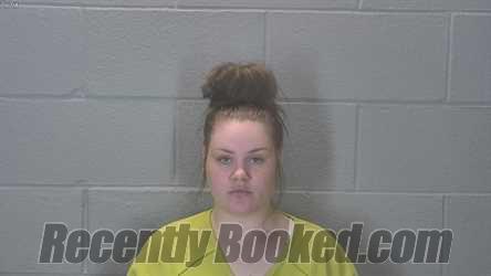 Recent Booking / Mugshot for Breann Joselyn Cobb in Tippecanoe County ...