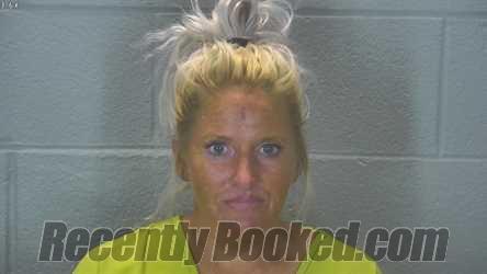 Recent Booking / Mugshot for Rachel Michelle Devine in Tippecanoe ...