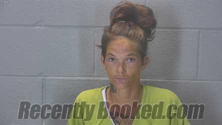 Recent Booking / Mugshot for Ashley Nicole Dever in Tippecanoe County ...