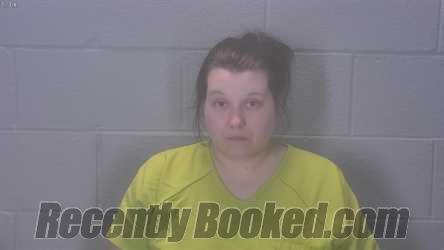 Recent Booking / Mugshot for Diana Lynn Lemay in Tippecanoe County, Indiana