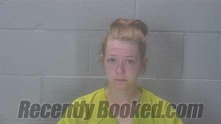 Recent Booking / Mugshot for Rachel M Verplank in Tippecanoe County ...