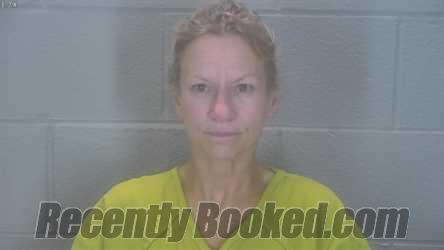 Recent Booking / Mugshot for Julie Ann Buckles in Tippecanoe County ...