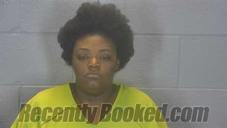 Recent Booking / Mugshot for Davina Rose Ann Morris in Tippecanoe ...