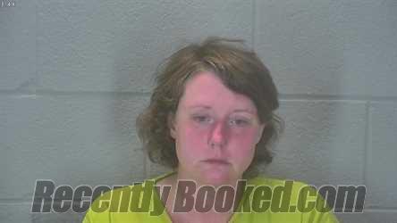 Recent Booking / Mugshot for Nicole Annette Hiner in Tippecanoe County ...