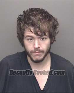 Recent Booking / Mugshot for JAMIE DANIEL FORD JR in Vanderburgh County ...