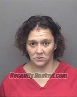Recent Booking / Mugshot for AMANDA NICOLE WILSON in Vanderburgh County ...