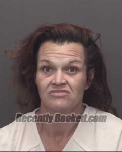 Recent Booking / Mugshot for HEATHER L GIBBS in Vanderburgh County, Indiana