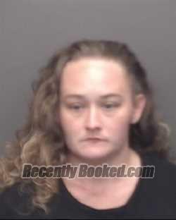 Recent Booking / Mugshot for CHELSEA RENAE FISHER in Vanderburgh County ...