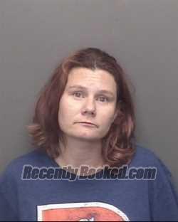 Recent Booking / Mugshot for ELIZABETH MONTE SHAY in Vanderburgh County ...