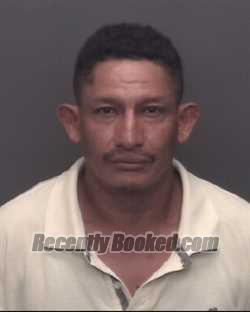 Recent Booking / Mugshot for RONY ALEXANDER SALAZAR-HERNANDEZ in ...