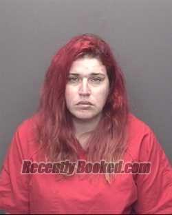 Recent Booking / Mugshot for ELIZABETH ABIGAIL GALLOWAY in Vanderburgh ...