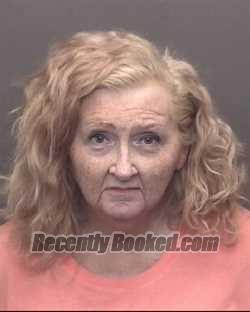 Recent Booking / Mugshot for DEBORAH ANN LOONEY in Vanderburgh County ...