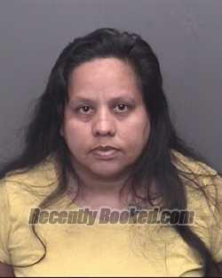 Recent Booking / Mugshot for MARJORIE D PEREZ CARCAMO in Vanderburgh ...