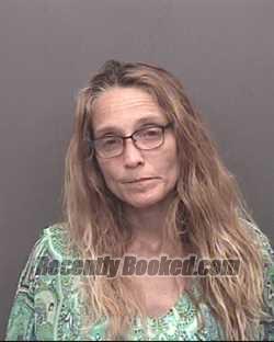Recent Booking / Mugshot for CRYSTAL FAY HAYES in Vanderburgh County ...