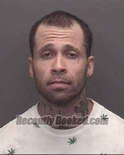 Recent Booking / Mugshot for MICHAEL LOGAN THOMAS in Vanderburgh County ...