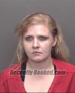 Recent Booking / Mugshot for SARAH BRANDY NICHOLE PRUITT in Vanderburgh ...