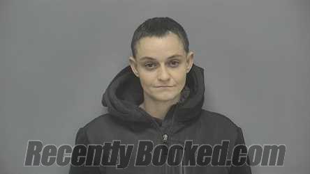 Recent Booking / Mugshot for Ashley Michelle Ellinger in Vigo County ...