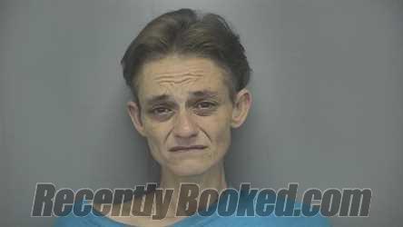 Recent Booking / Mugshot for Ashley Michelle Ellinger in Vigo County ...
