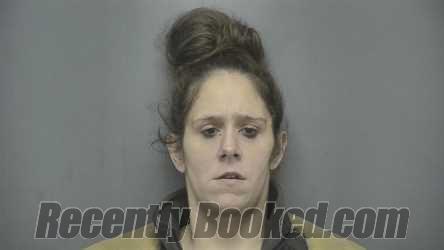 Recent Booking / Mugshot for Ashley J Waltermire in Vigo County, Indiana