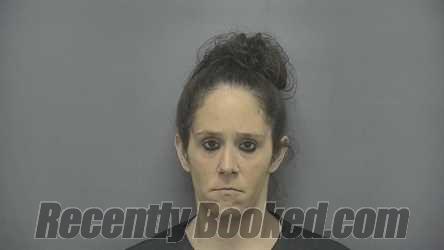Recent Booking / Mugshot for Ashley J Waltermire in Vigo County, Indiana