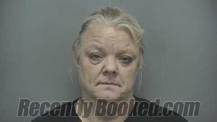 Recent Booking / Mugshot for Bonnie Lynn Hinkle in Vigo County, Indiana