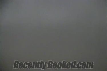 Recent Booking / Mugshot for Connie S Cheesman in Vigo County, Indiana