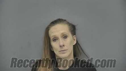 Recent Booking / Mugshot for Dana Lou Callahan in Vigo County, Indiana