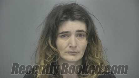 Recent Booking / Mugshot for Darla J Wilson in Vigo County, Indiana