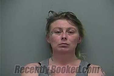 Recent Booking / Mugshot for Heidi Dawn Curtis in Vigo County, Indiana