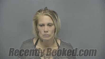 Recent Booking / Mugshot for Heather Nicole Frost in Vigo County, Indiana