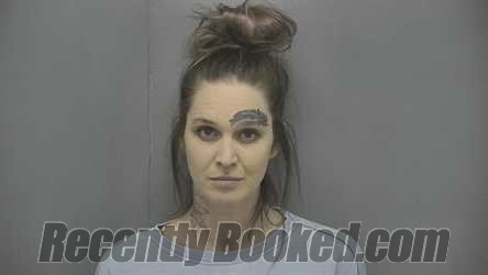 Recent Booking / Mugshot for Jessica Goodman in Vigo County, Indiana
