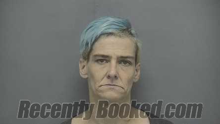 Recent Booking / Mugshot for Jennifer Rene Hall in Vigo County, Indiana