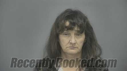 Recent Booking / Mugshot for Leslie Ann Fannin in Vigo County, Indiana