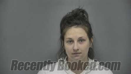 Recent Booking / Mugshot for Megan Elizabeth Pittsenbarger in Vigo ...