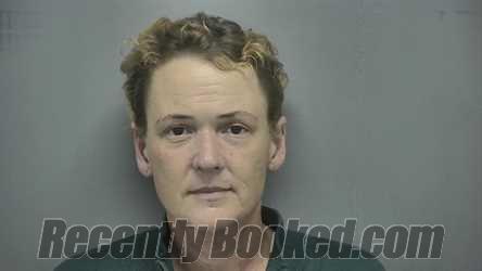 Recent Booking / Mugshot for Melissa J Poff in Vigo County, Indiana